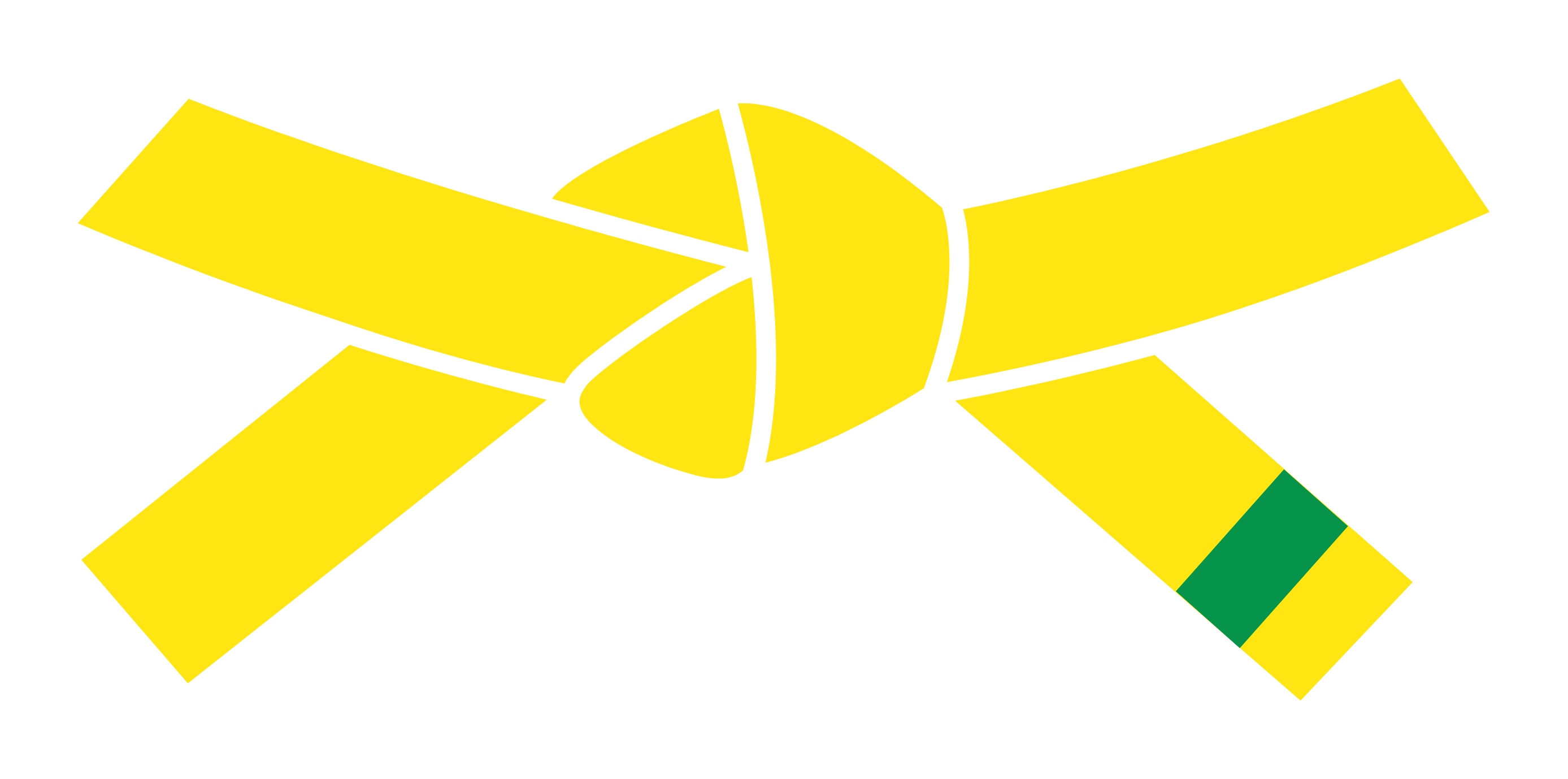 Kicking Terminology – Wexford Taekwon-Do